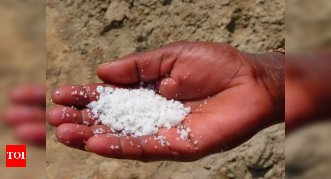 Sea salt vs table salt: What is better? - Times of India