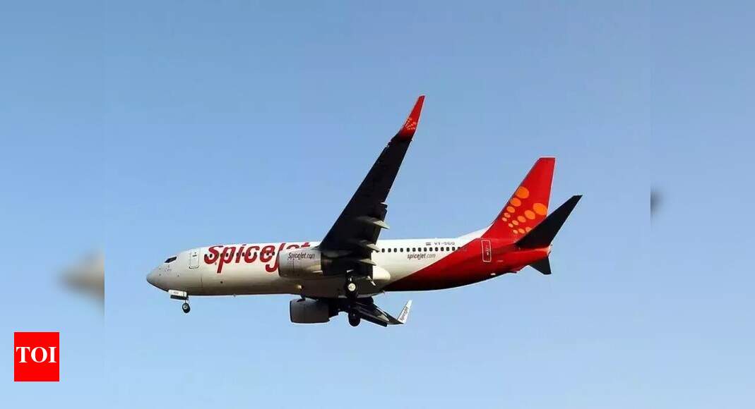 SpiceJet, IndiGo adds new flights in summer schedule - Times of India