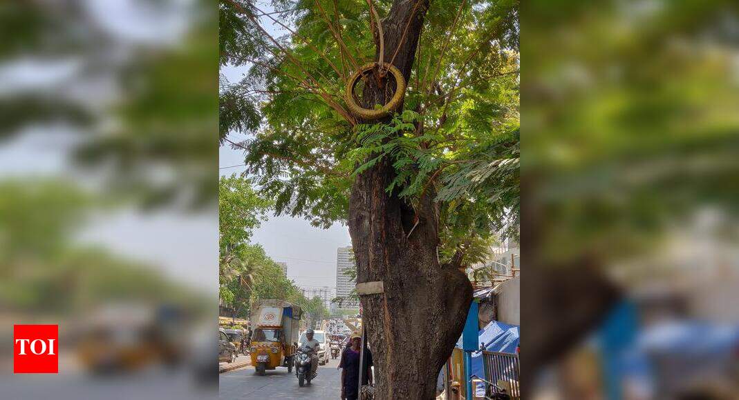 Un-tiring Effort - Times of India