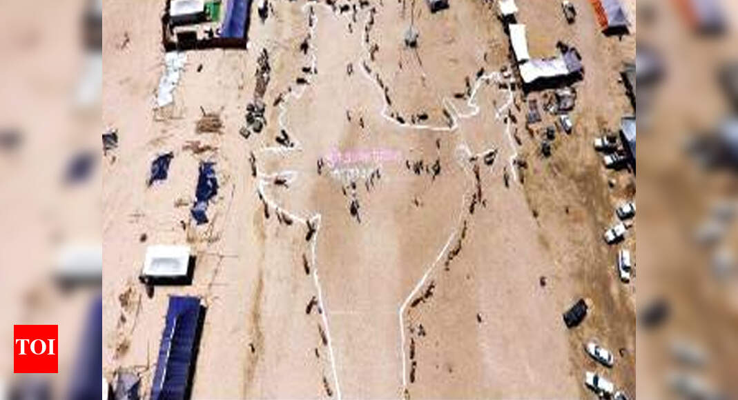 Map of India ‘formed’ using camels to motivate voters | Jaipur News ...