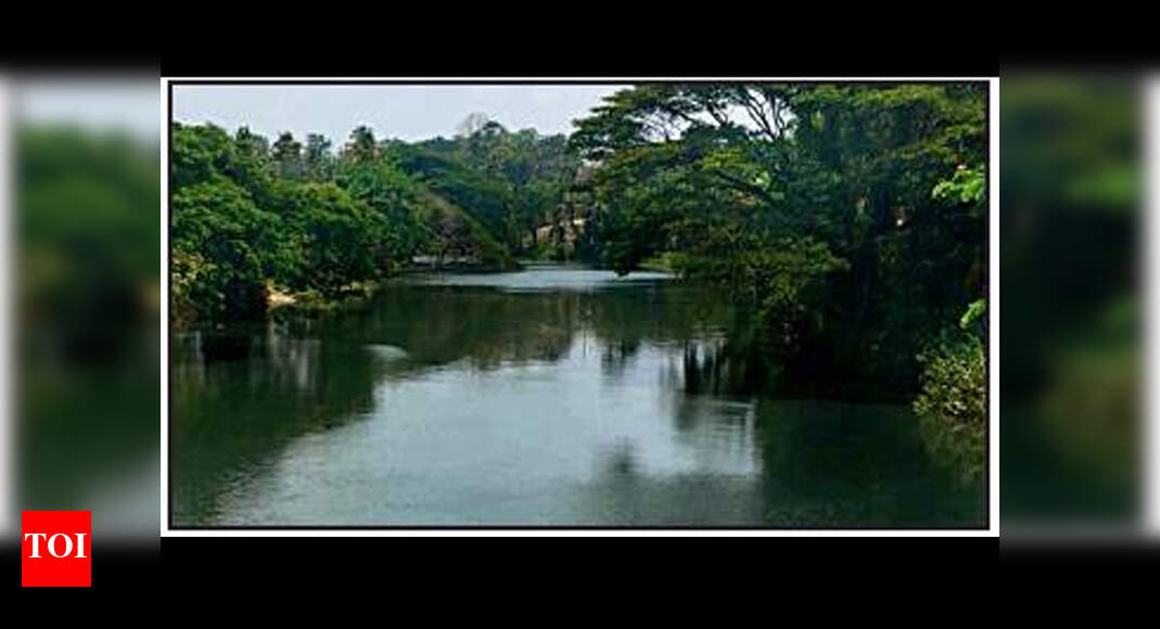 Muttar River turns black again near Manjummal | Kochi News - Times of India