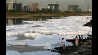 Drive to clean up Kalindi Kunj ghat | Delhi News - Times of India