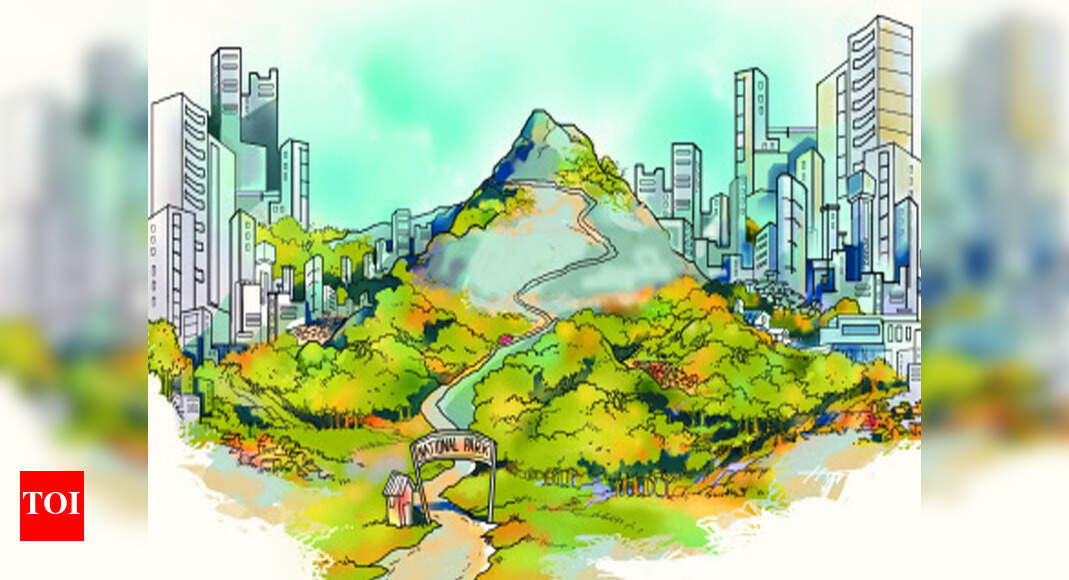 EAC defers Kattupalli port expansion, forms panel | Chennai News ...