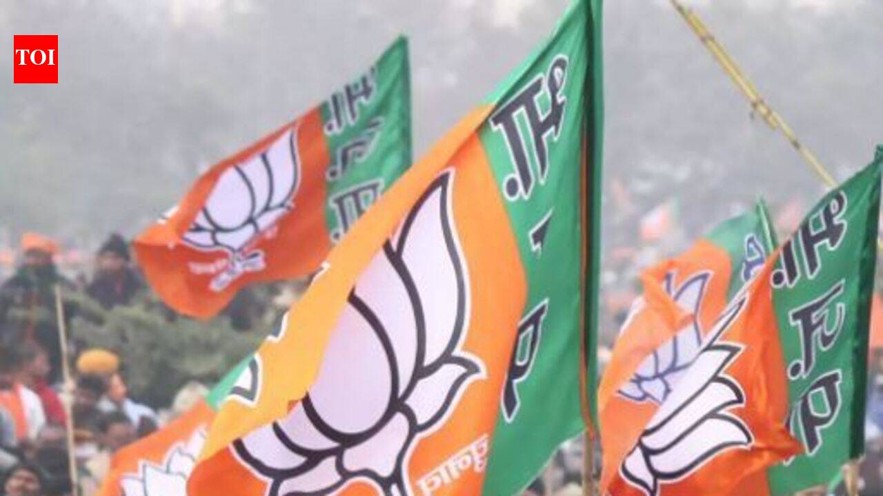 Lok Sabha Opinion poll 2019 latest: Times Now-VMR opinion poll survey ...