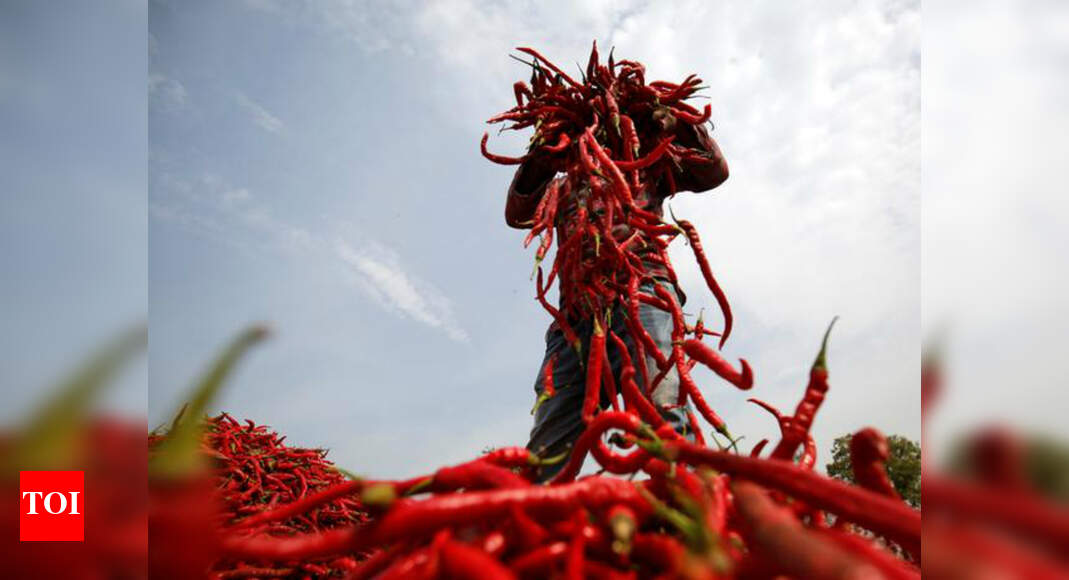 Chilli peppers may help slow down spread of cancer cells - Times of India