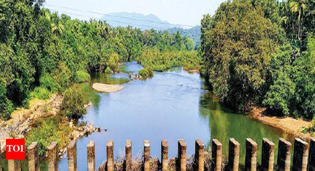 Sattari fish species under threat due to check dams | Goa News - Times ...