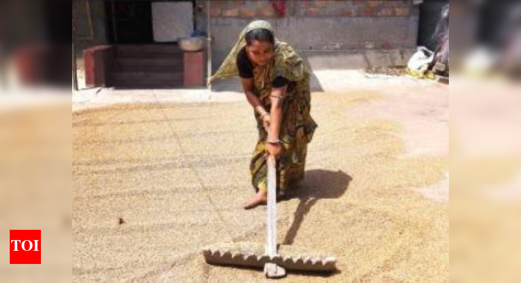Chowkidar in their names, long before the hashtag - Times of India