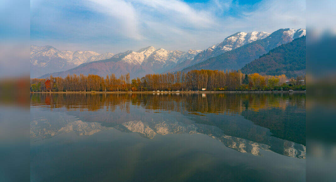 Char Chinar’s glory restored in Kashmir | TimesTravel