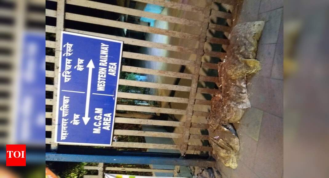 LOC-Line of Control ...Grant road station W - Times of India