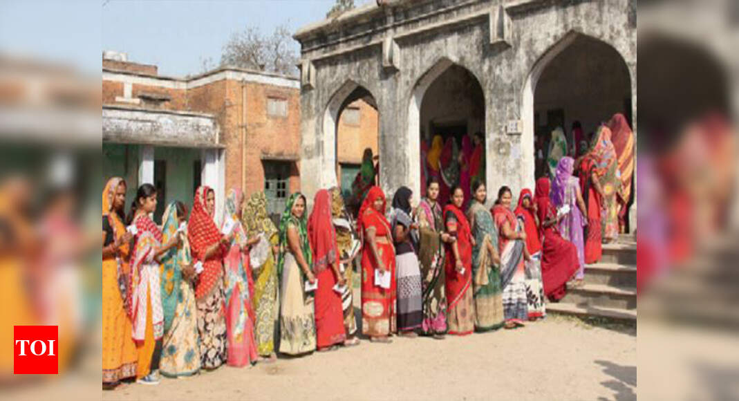 Lok Sabha elections: Dual votes, widespread apathy led to poor turnout ...