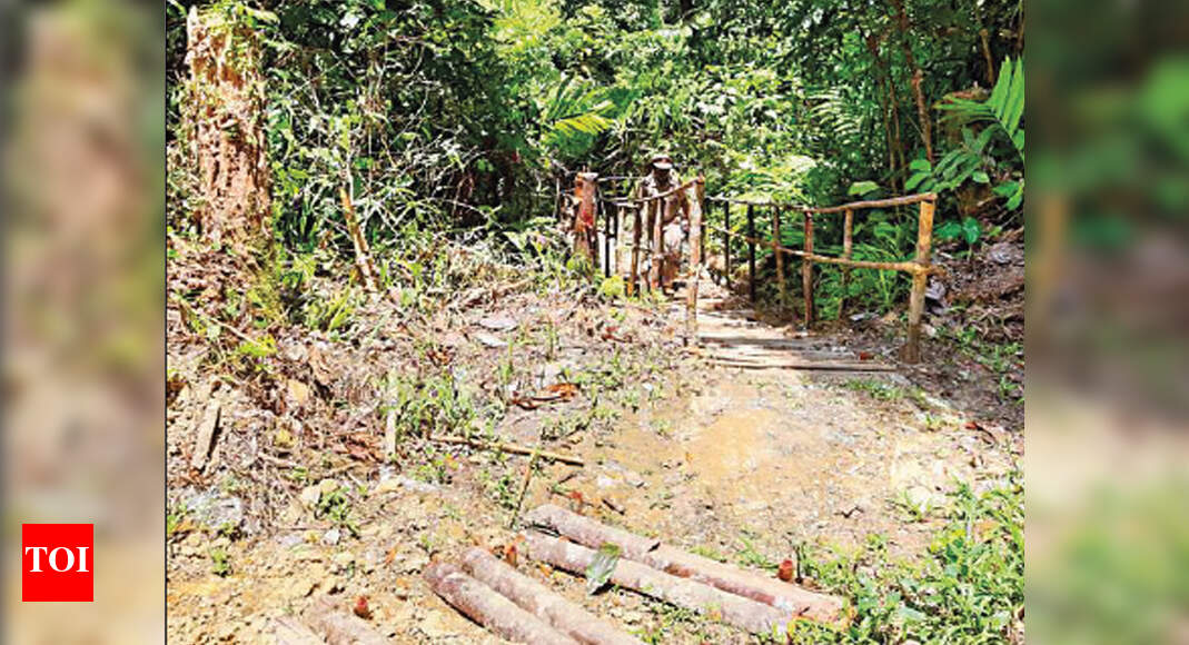 Not 1 vote cast in India’s southernmost booth - Times of India