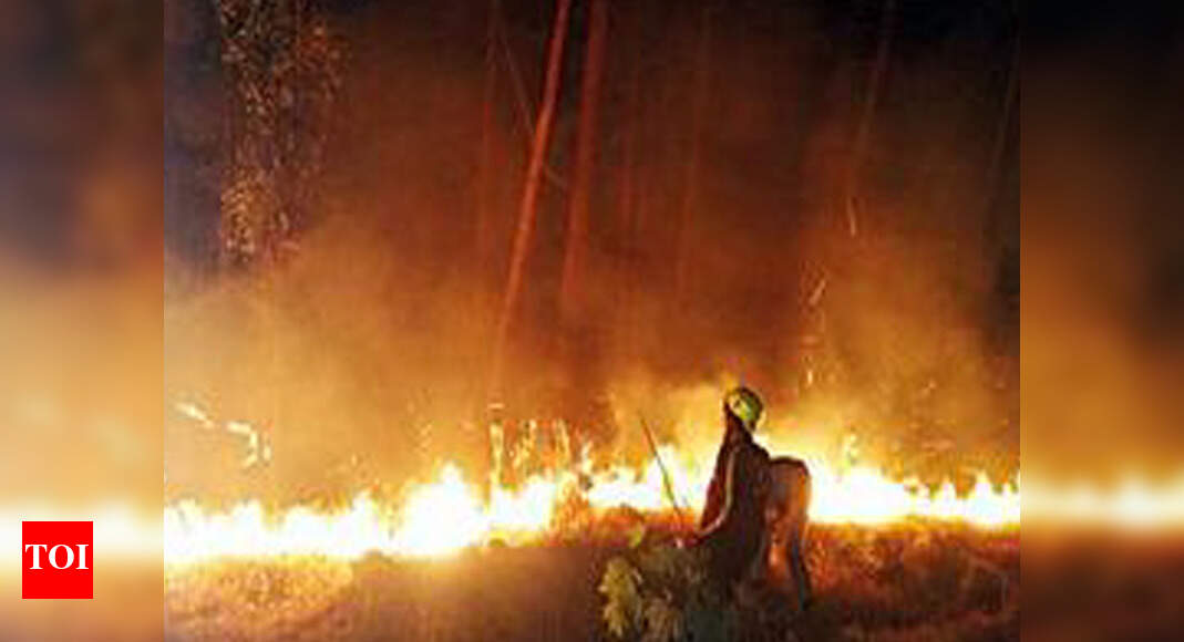 114 forest fire alerts recorded by FSI till mid-April, department ...