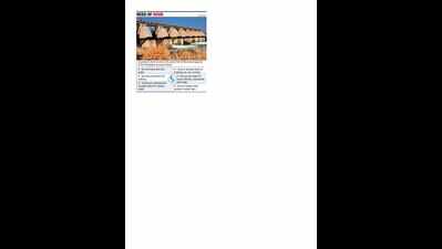 Make judicious use of water or face music | Nashik News - Times of India