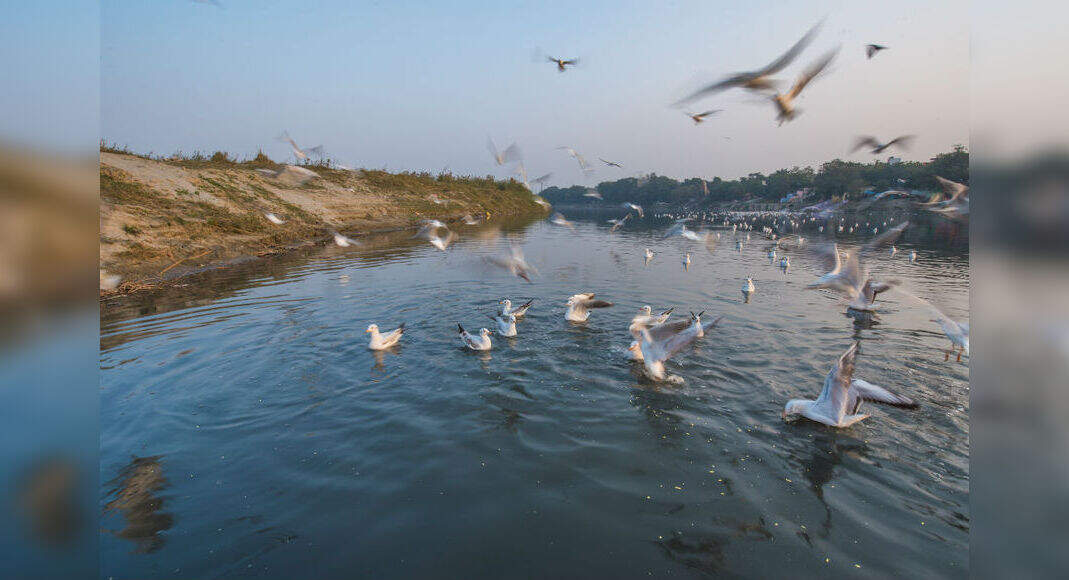 Delhi’s new tourist attraction, a biodiversity park, will be next to ...