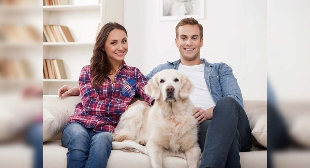 Tips For Being Good Pet Parents