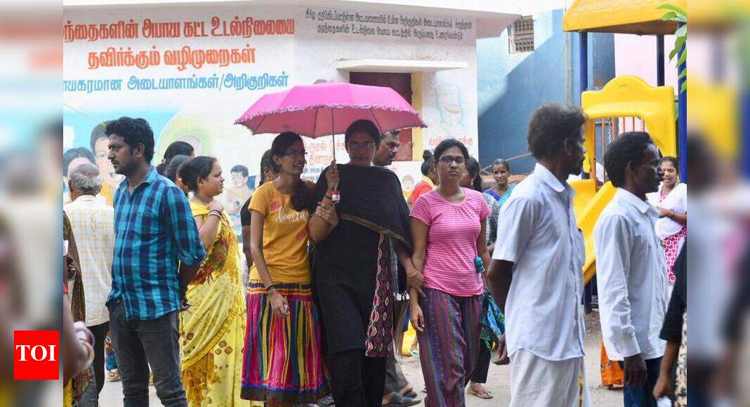 Lok Sabha elections: What drove first-time voters to polling booths ...