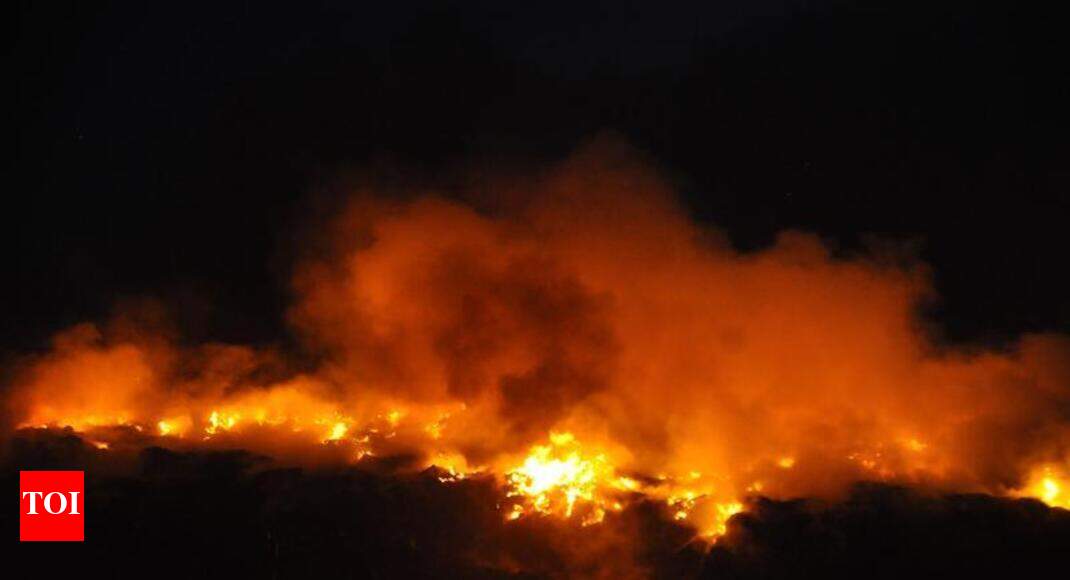Day after Adampur dump fire, burning waste emitting toxic fumes ...