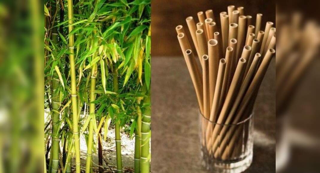 Eco-Friendly Alternative Products To Keep Environment Safe - Misskyra.com