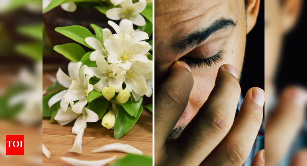 Keeping THIS plant in your room can help you battle anxiety and ...