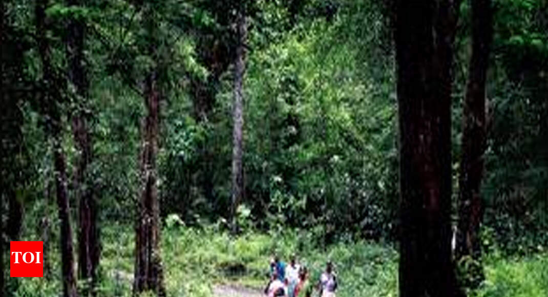 Tribespeople cross river & forests; never miss voting ...