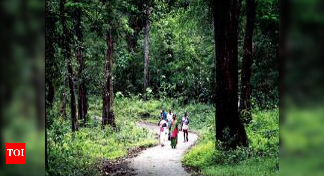 Tribespeople cross river & forests; never miss voting ...