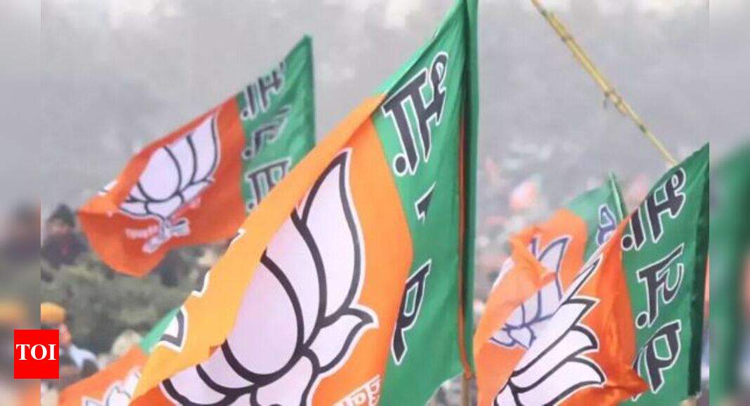 Ec Slaps 48 Hr Ban On Bengal Bjp Leader Over Sexually Coloured Remarks