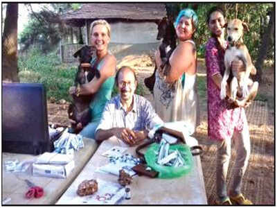 This World Veterinary Day, a visit to ‘dog temple,’ a home for stray ...