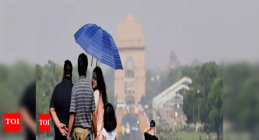 Brace for a sunny, hot and windy day today | Delhi News - Times of India