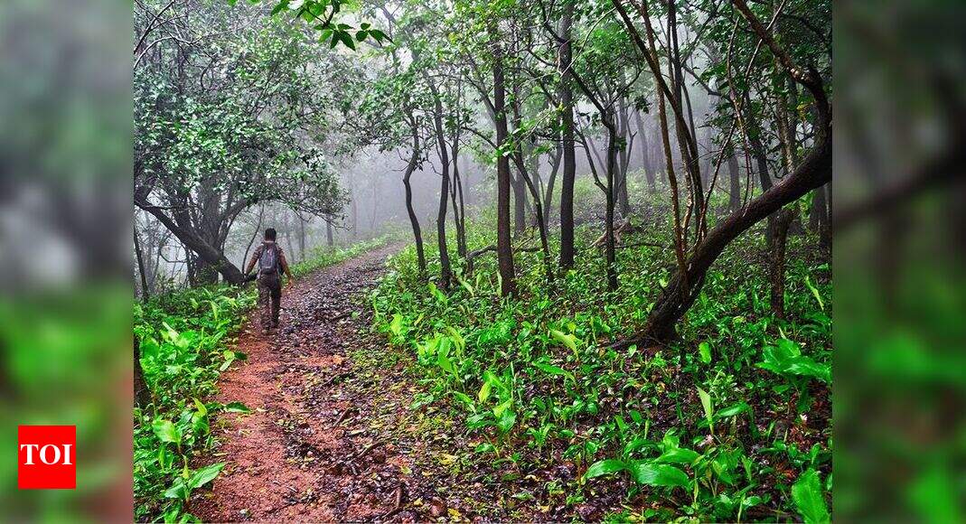 Turahalli forest may get biodiversity park | Bengaluru News - Times of ...
