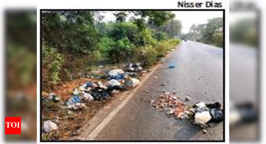Margao-Benaulim road stretch turns into open dump for garbage | Goa ...