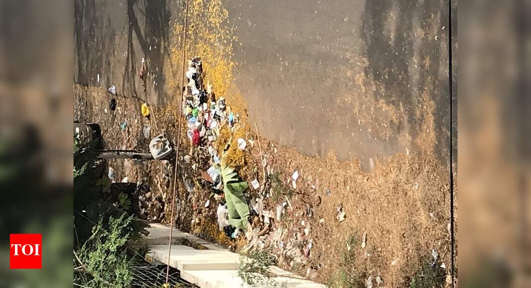 Dumping of Garbage & Open Defecation - Times of India