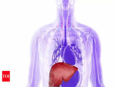 Have a weak liver? Here’s why you should be careful of long-term ...