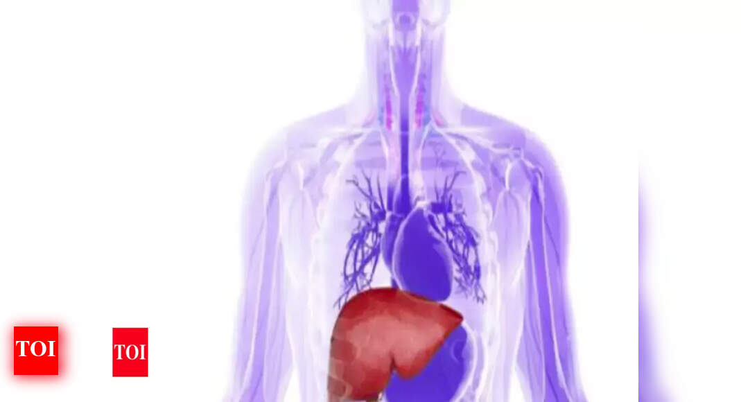 Have a weak liver? Here’s why you should be careful of long-term ...