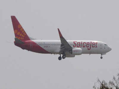SpiceJet flight overshoots runway in Shirdi airport | Pune News - Times ...