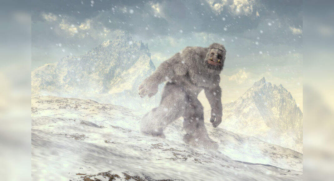Indian Army Yeti sighting | TimesTravel