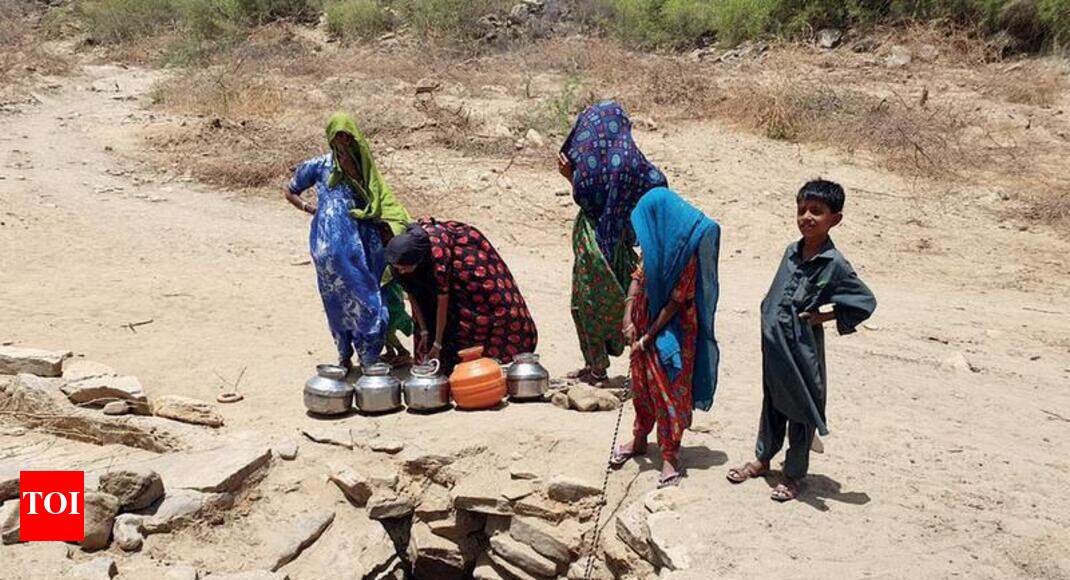 In Banni, only saline water to quench thirst of 20 villages | Rajkot ...