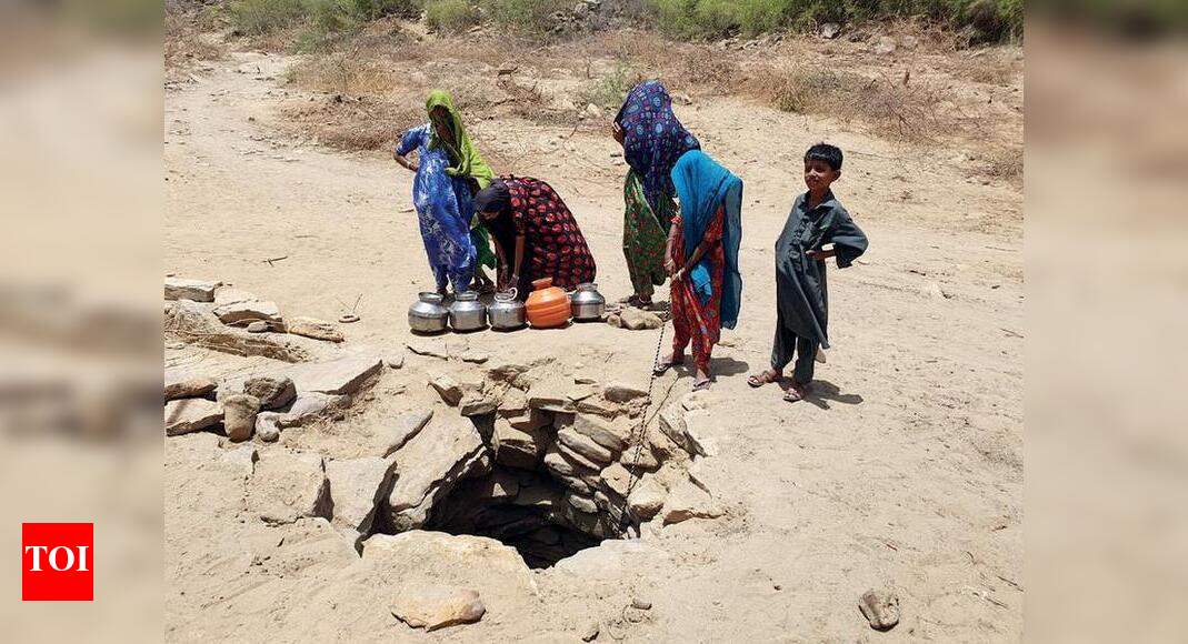 In Banni, only saline water to quench thirst of 20 villages | Rajkot ...
