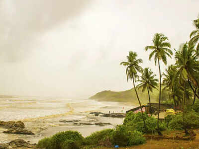 Tiswadi most threatened island in S Asia: Nandkumar Kamat | Goa News ...