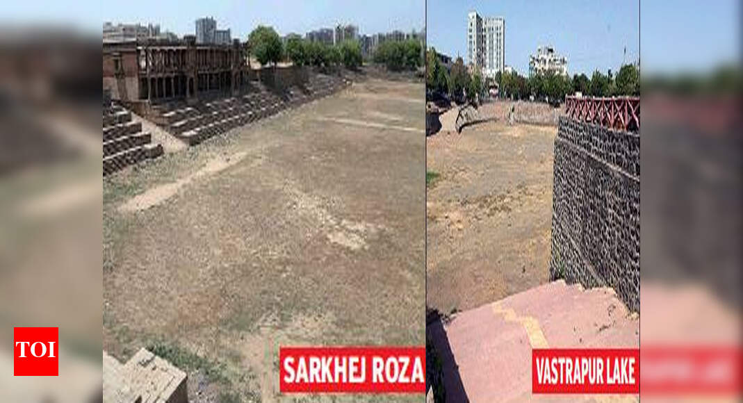 Ahmedabad lakes are cesspools of apathy | Ahmedabad News - Times of India