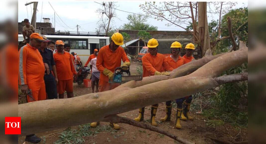 UN agency praises India on minimising loss of life from Cyclone Fani ...