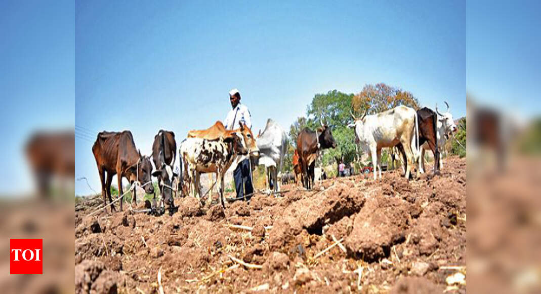 Distressed farmers wait for summer to end for relief | Chhatrapati ...