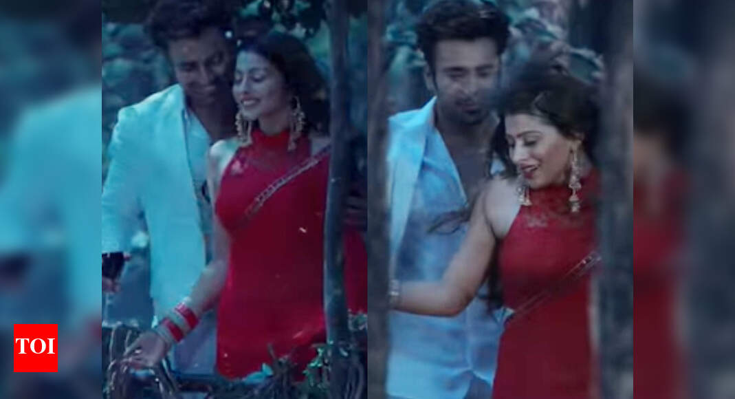 Ekta Kapoor releases Bepanah Pyarr promo starring Pearl V Puri, Aparna ...