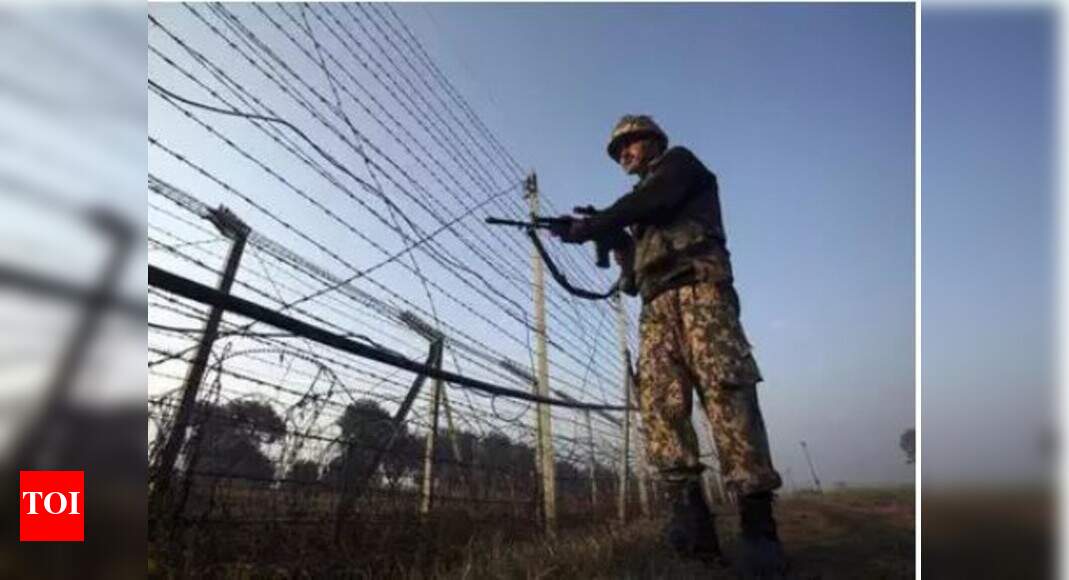 Minor among 2 civilians killed in cross-border firing along LoC, says ...