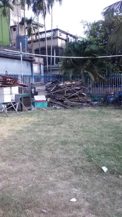 Park or Stackyard? Naktala - Times of India