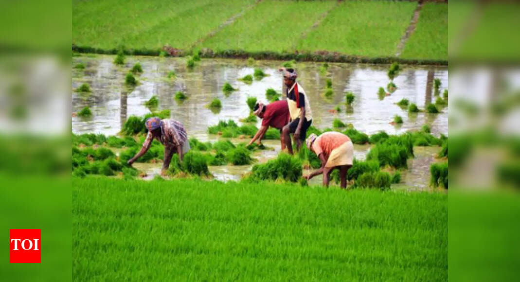 Study on fallow land will help farming: Forum | Goa News - Times of India