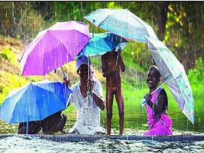 Techies to promote Karthumbi umbrellas | Kochi News - Times of India