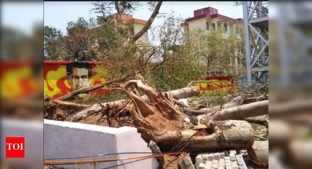 Cyclone Fani devastates Hockey WC's beautification projects ...