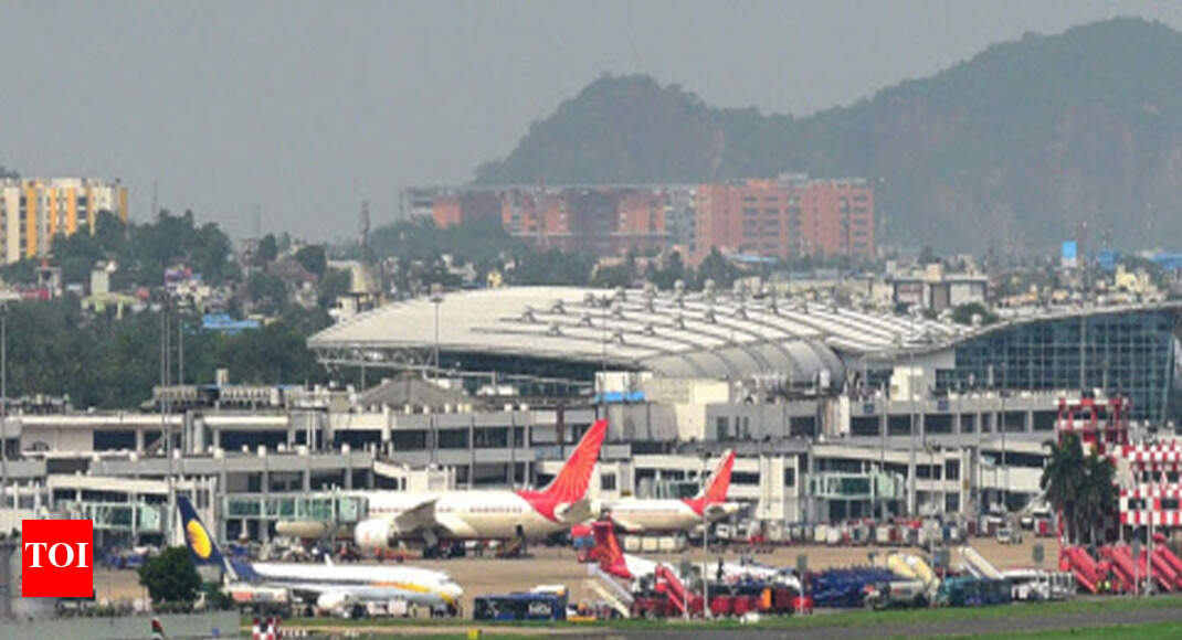 Chennai Airport lacks plan to tackle bird strikes | Chennai News ...