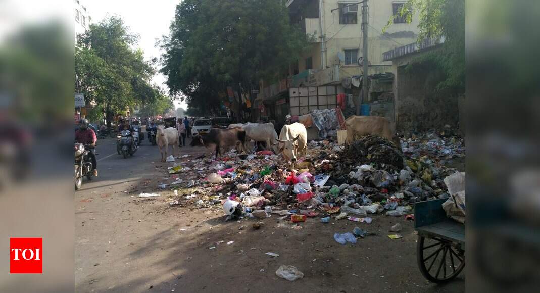 Garbage on main road - Times of India