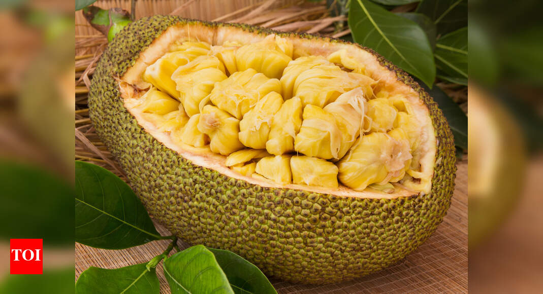 Can we eat jackfruit (kathal) and curd together? - Times of India